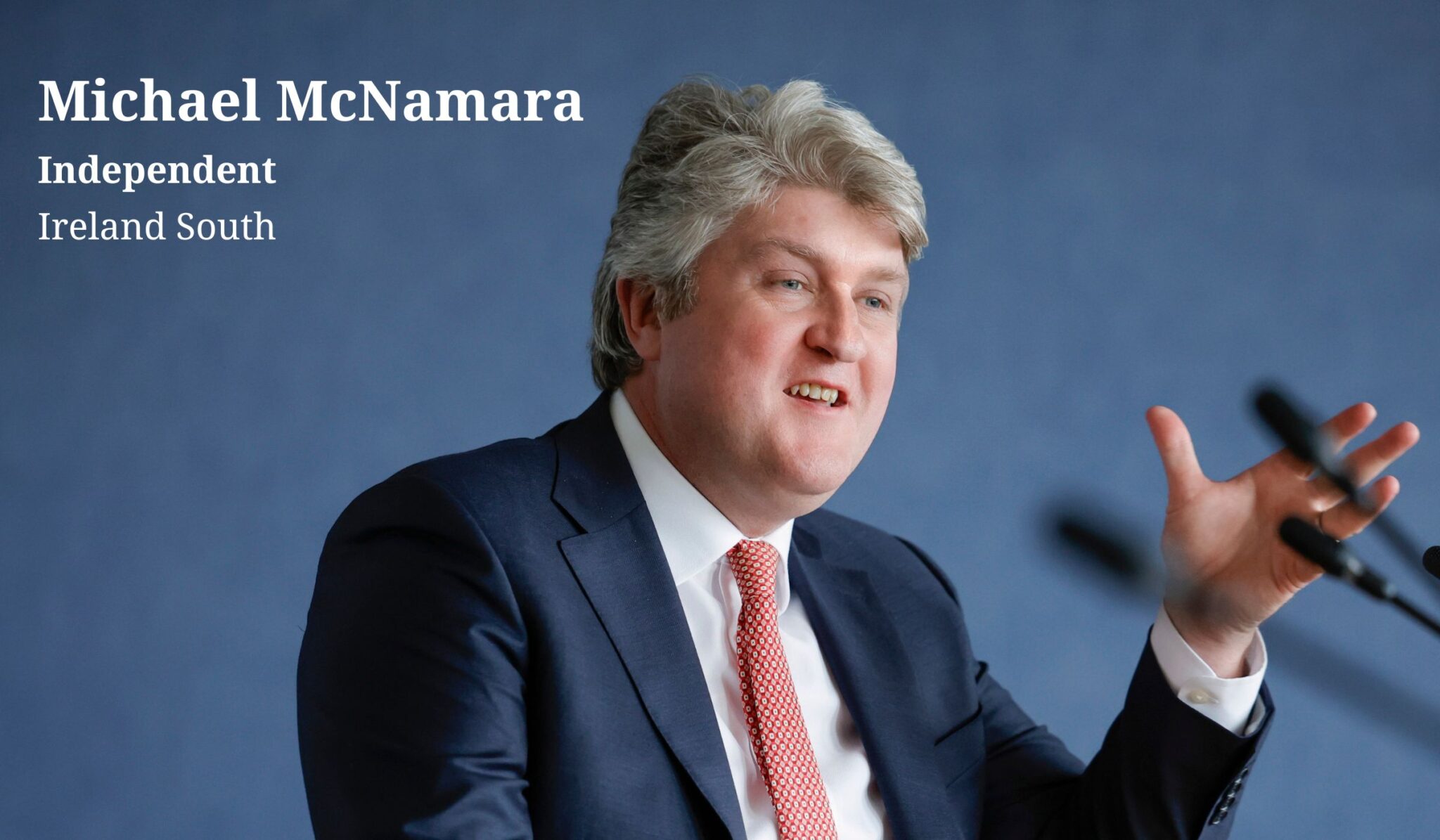 Make Europe Work For Ireland – Michael McNamara
